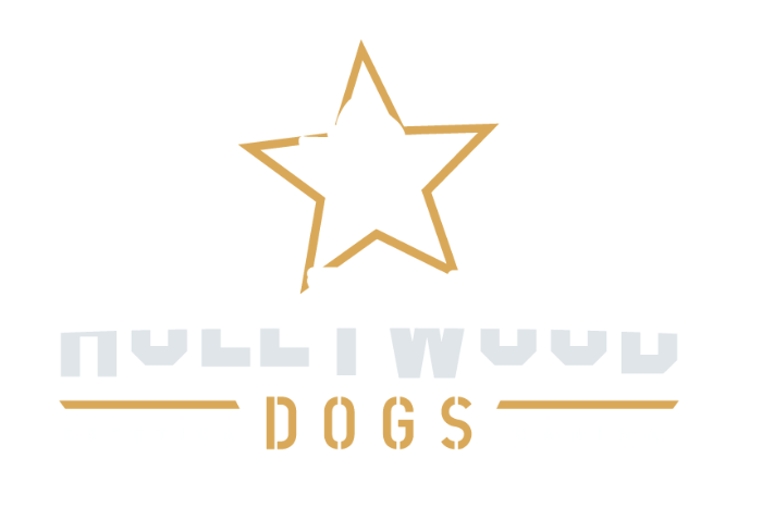 Hollywood Dogs – Estética Canina